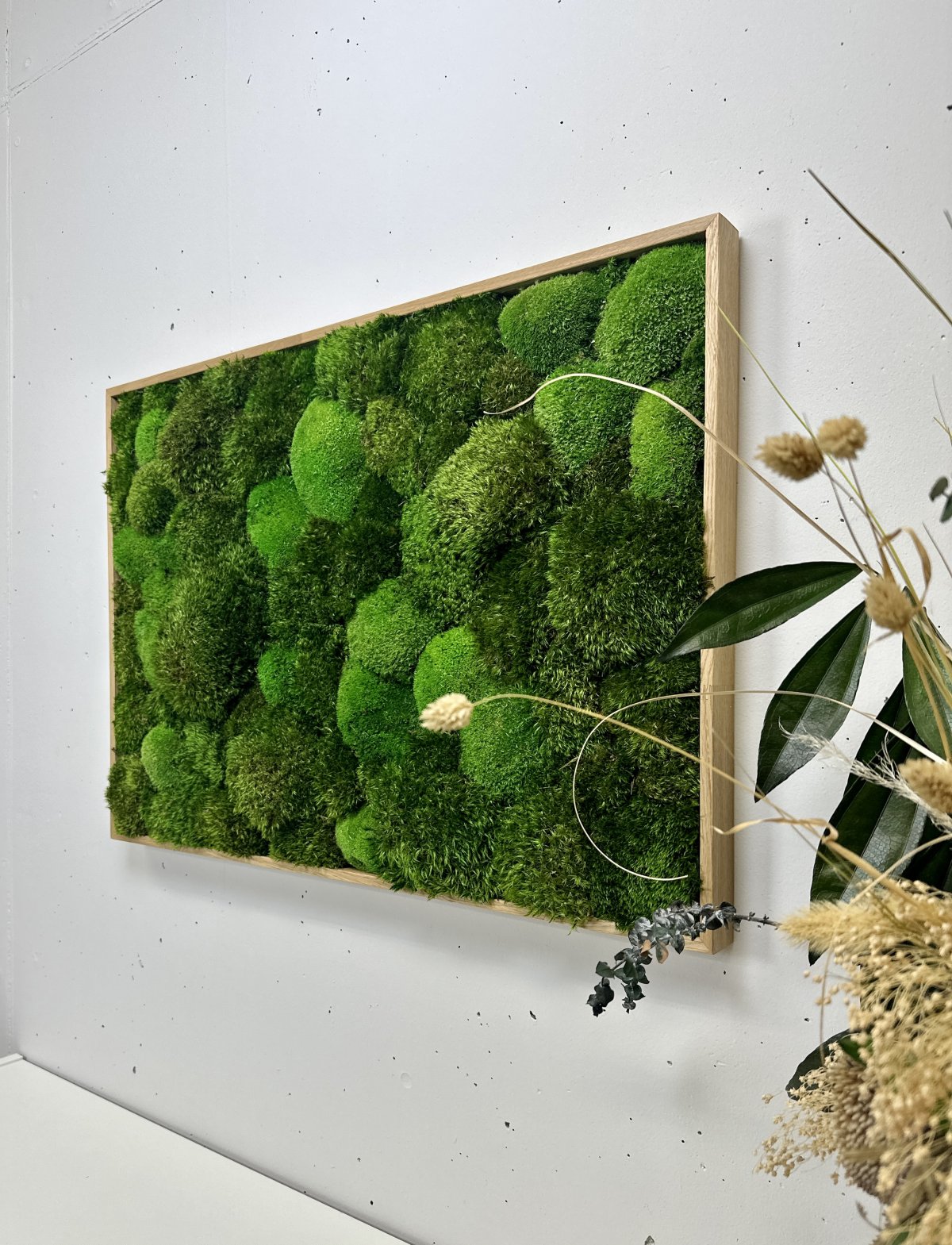 Mosbillede i mosmix 006 - Firkantede akustik mosbilleder - MosDecor Aps
