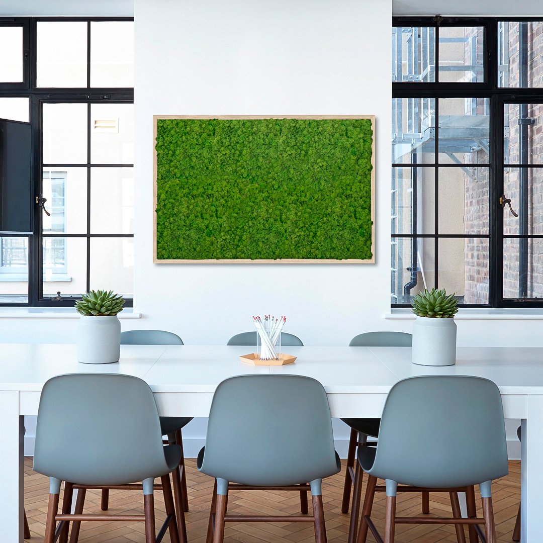 Mosvæg Rensdyrmos - Firkantede akustik mosbilleder - MosDecor Aps