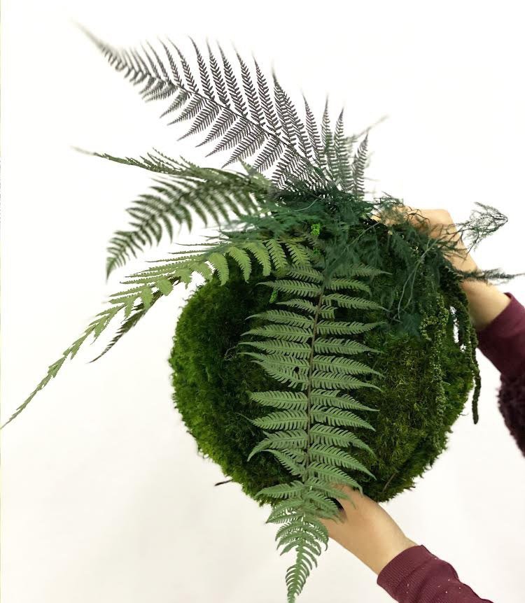 Moskugle med planter - Moskugler - MosDecor Aps