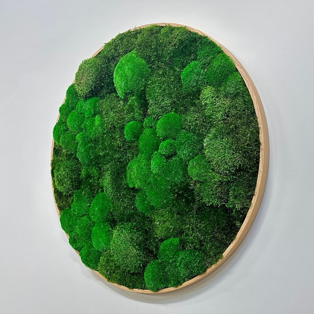 Mosbillede i mosmix 006 - Runde akustik mosbilleder - MosDecor Aps